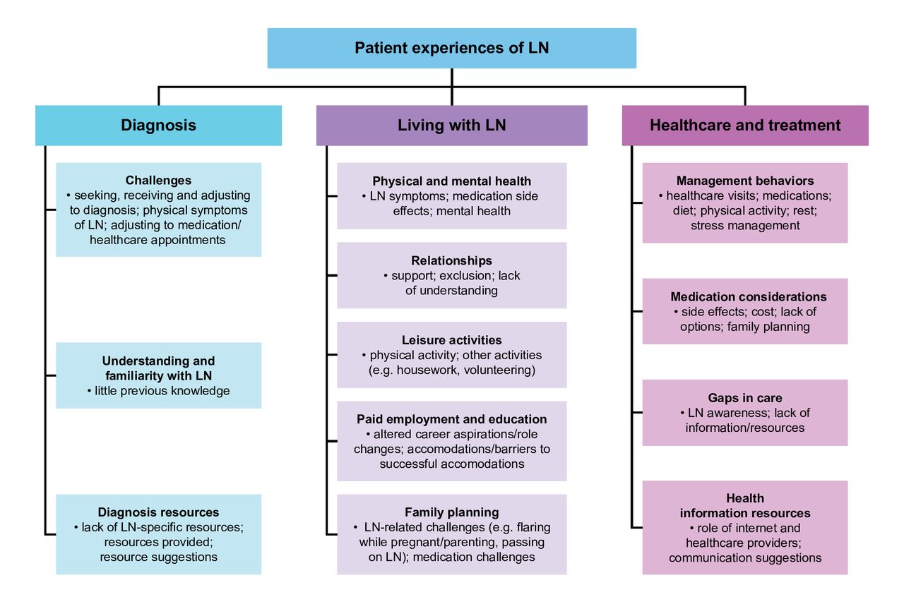Canadian patient experiences of lupus nephritis: a qualitative analysis ...