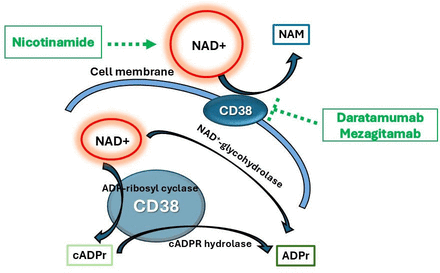 Metabolic profiles of cutaneous lupus have abnormalities in the ...