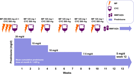 Long-term efficacy and safety of the Lupus-Cruces Nephritis protocol: a ...