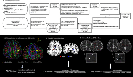 Alterations in the DTI-ALPS index and choroid plexus volume as brain ...