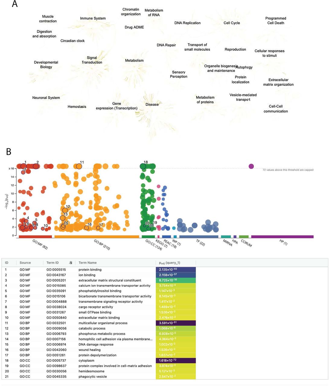 Genetic determinants of childhood onset systemic lupus erythematosus ...